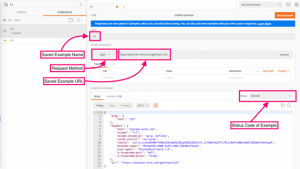 Mocking APIs using Postman to Optimize Development Timelines